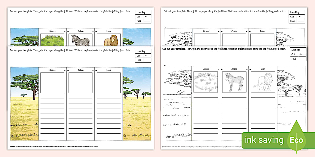 Savannah Folding Food Chain Template - Twinkl