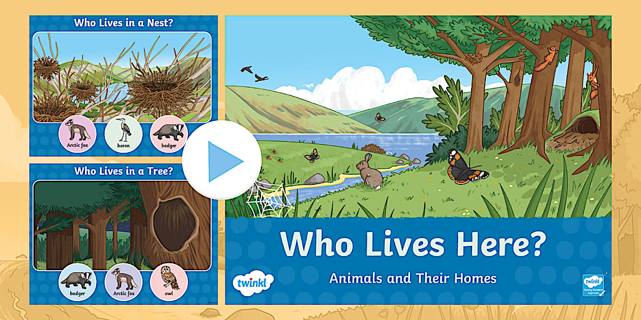 Animals and Their Homes Matching PowerPoint Game - Twinkl