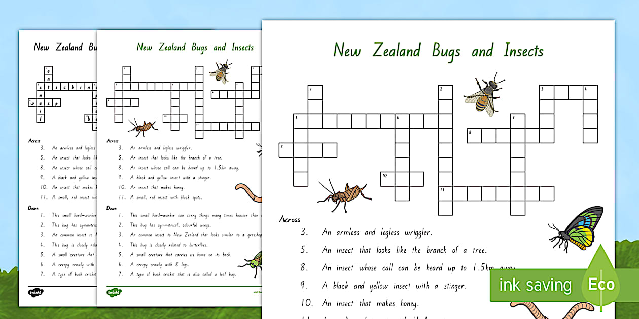 New Zealand Bugs and Insects Crossword (teacher made)