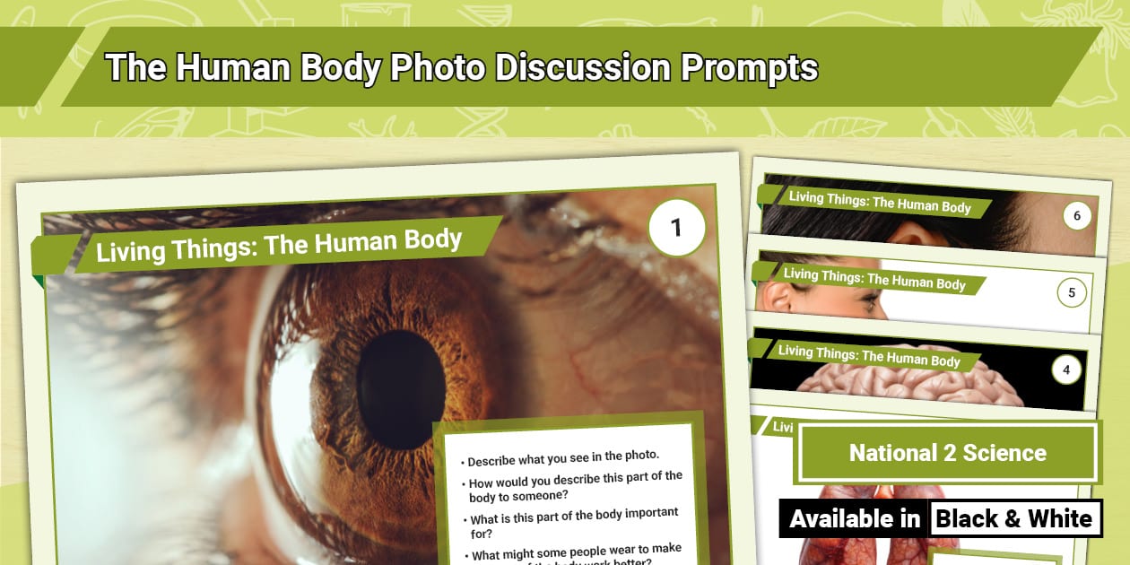Discussion Prompts for The Human Body