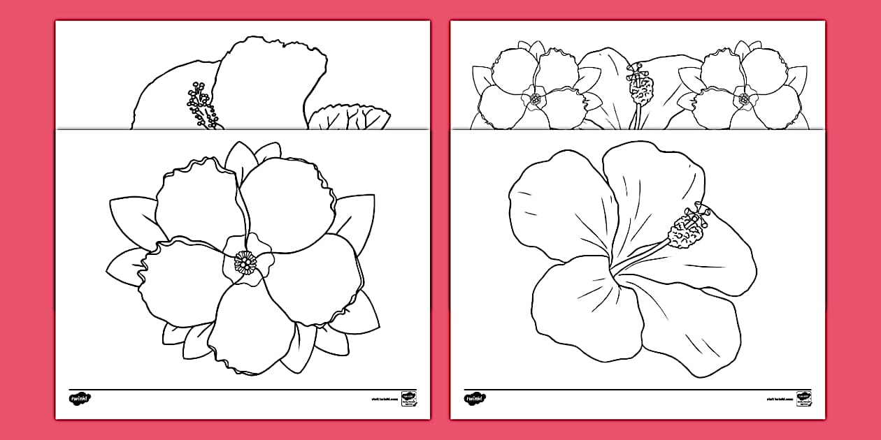 Hibiscus Coloring Sheets (teacher made) - Twinkl
