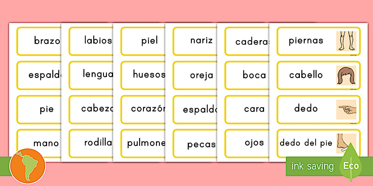 Tarjetas de vocabulario: Partes del cuerpo (teacher made)