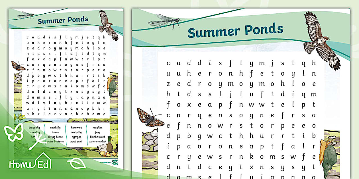 Summer Pond Word Search (teacher made) - Twinkl