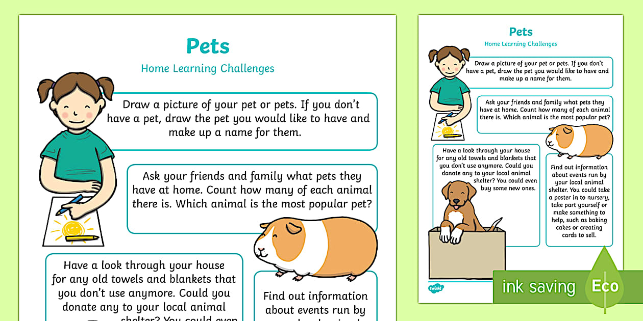 EYFS Pets Home Learning Challenges Nursery FS1 - Twinkl