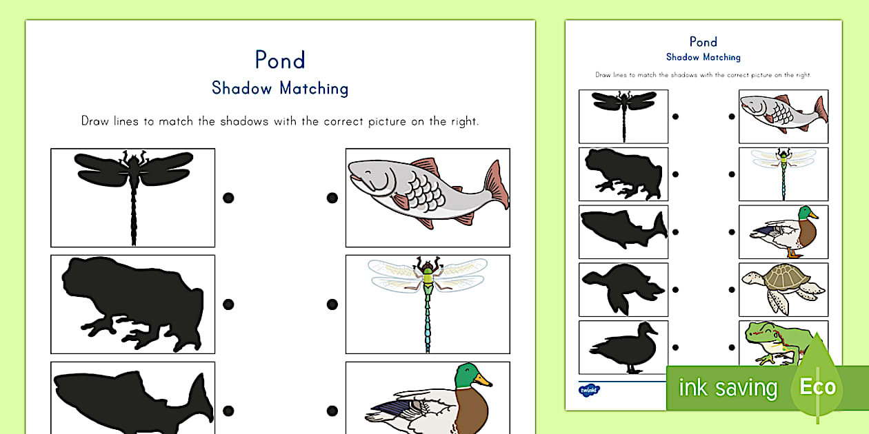 Pond Shadow Matching Worksheet / Worksheet - Twinkl