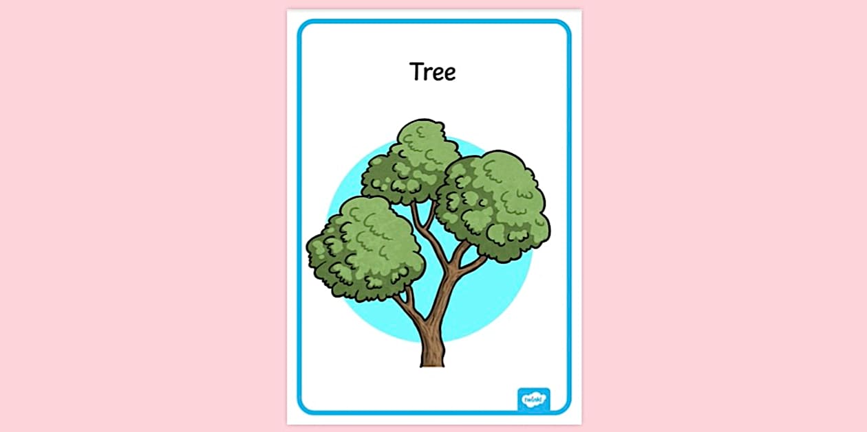 Tree Poster Display | Primary Resources (teacher made)