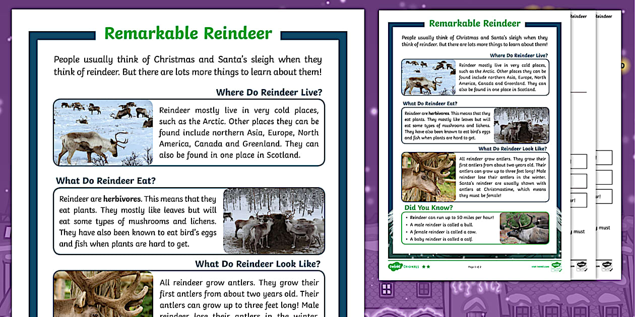 Lower Ability A Christmas Collar: Remarkable Reindeer Differentiated ...