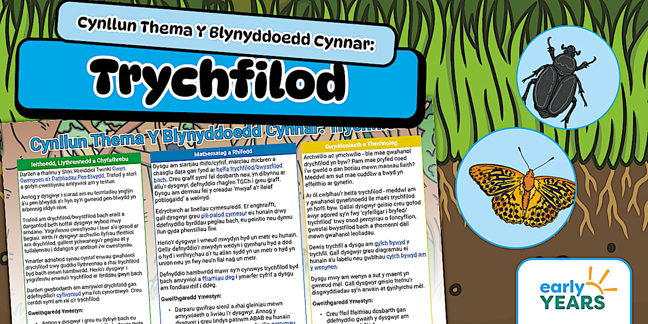 Cynllun Thema Y Blynyddoedd Cynnar: Trychfilod
