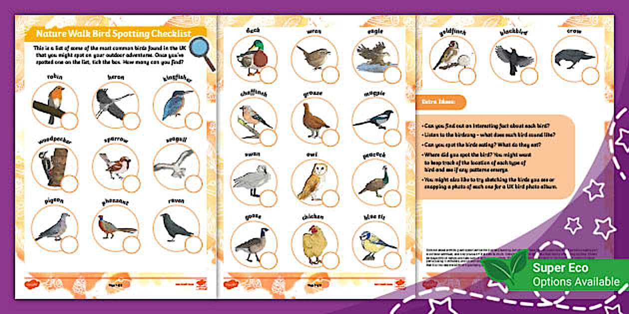 Nature Walk Bird Spotting Checklist (Teacher-Made) - Twinkl