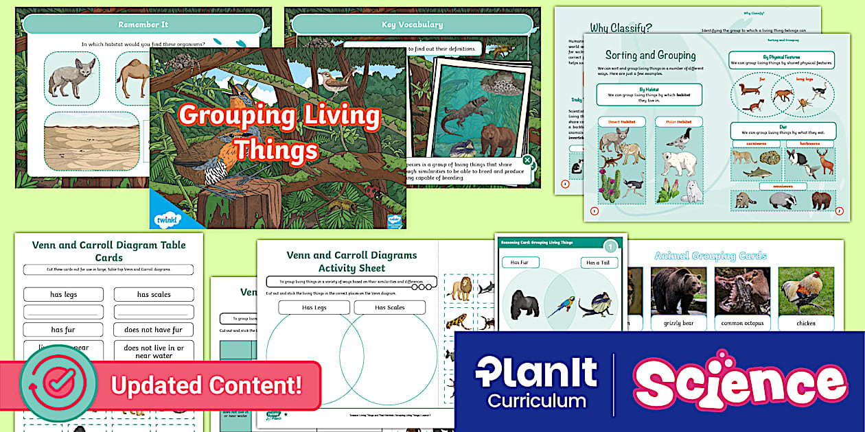 Y4 Living Things & Their Habitats Grouping Organisms Lesson Pack