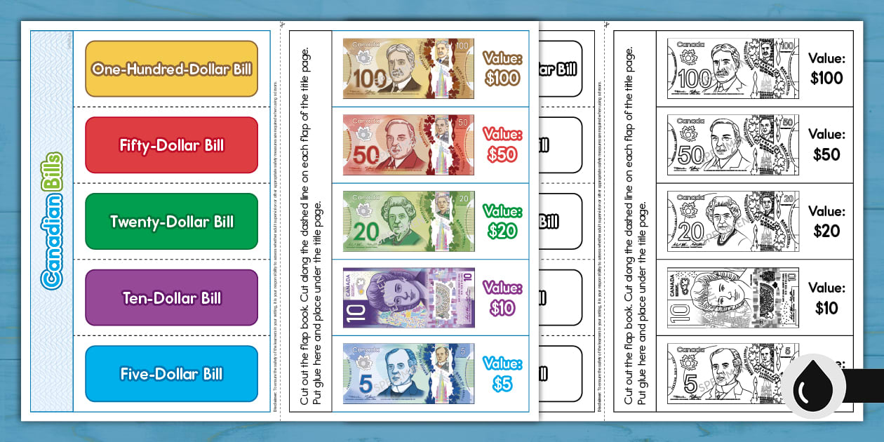 Canadian Bills Flap Book (Hecho por educadores) - Twinkl