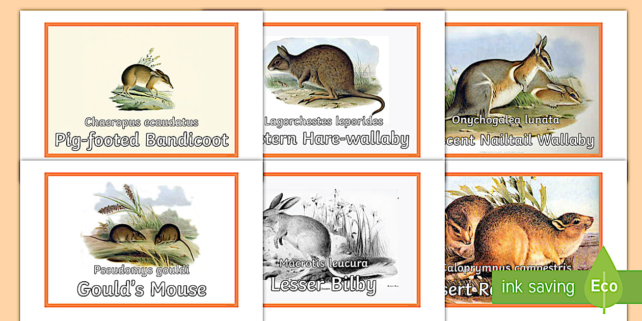 Cursive Recently Extinct Animals - Australian Desert Mammals
