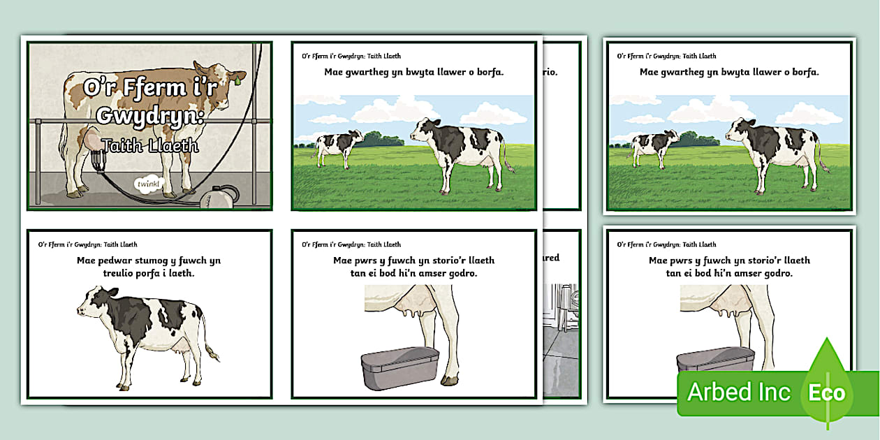O'r Fferm i'r Gwydryn: Cardiau Trefnu Taith Llaeth - Twinkl