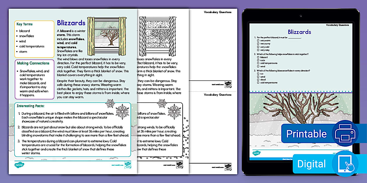 Second Grade Blizzards Fact File and Vocabulary Questions