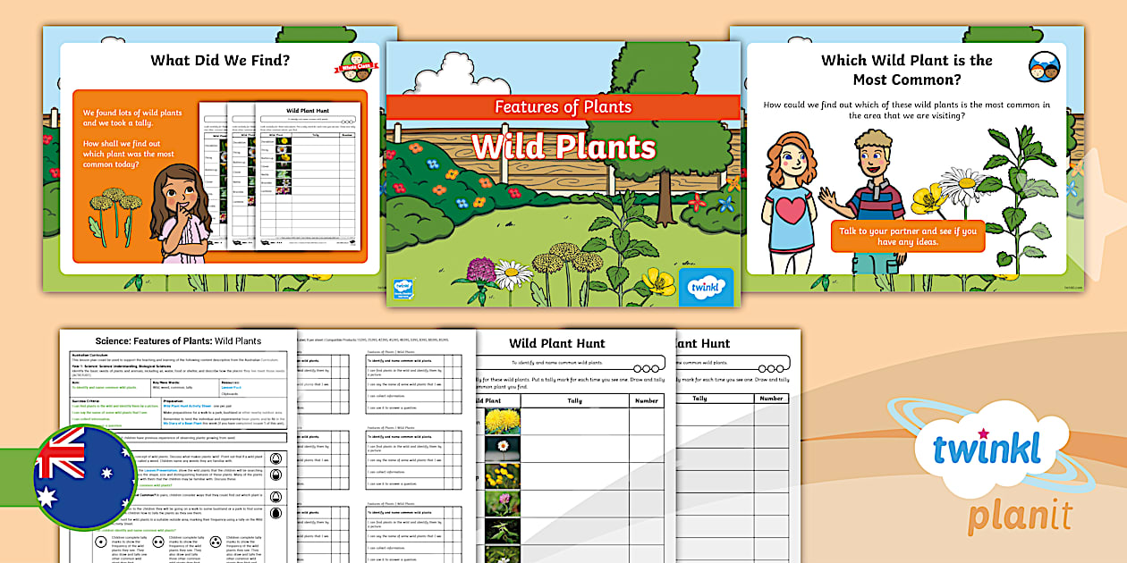Year 1 Science Features of Plants Lesson 2 Wild Plants