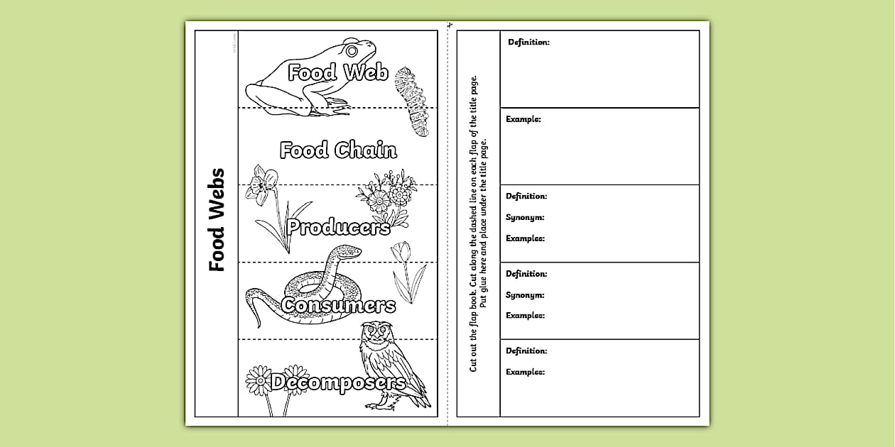 Third Grade Food Webs Flap Book (teacher made) - Twinkl