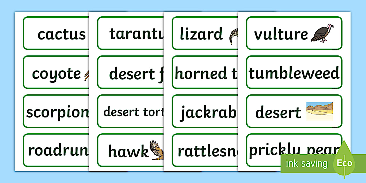 Cursive Desert Habitat Word Cards (teacher made) - Twinkl