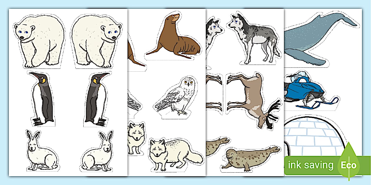 Polar Regions Small World Characters (teacher made) - Twinkl