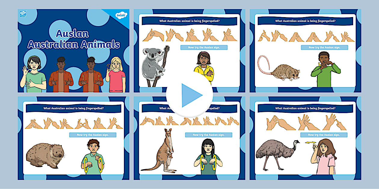 Auslan Australian Animals PowerPoint (teacher made) - Twinkl