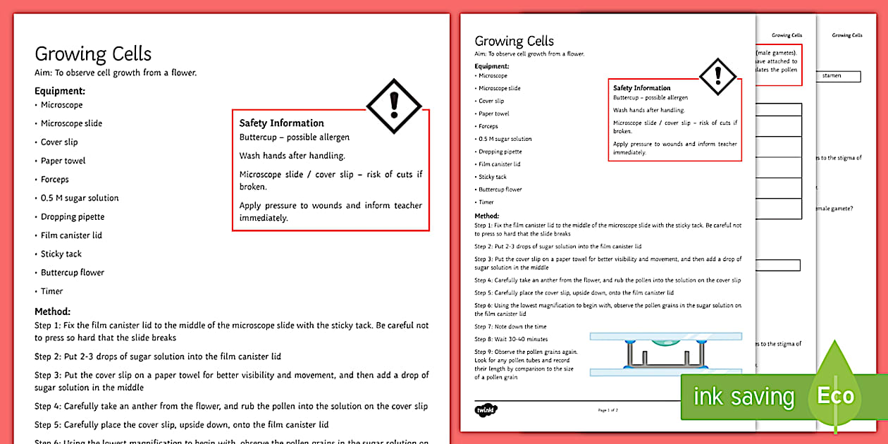 Growing Cells Investigation Instruction Sheet Print-Out