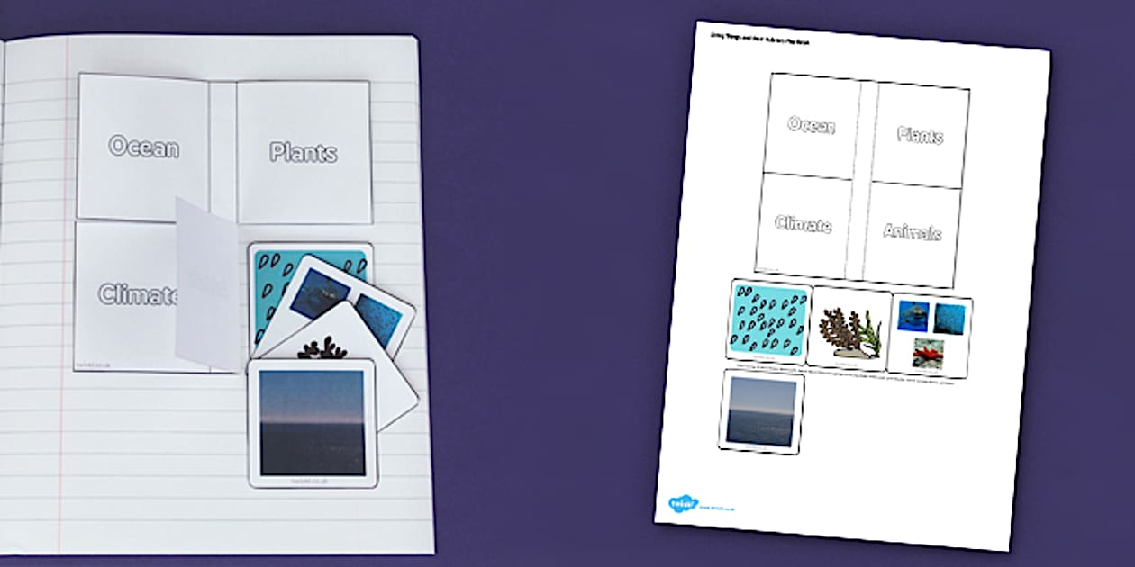 Editable Living Things and their Habitats Ocean Flap Book