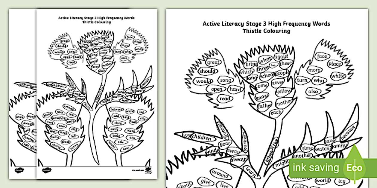 Active Literacy Stage 3 High-Frequency Words Thistle Colour