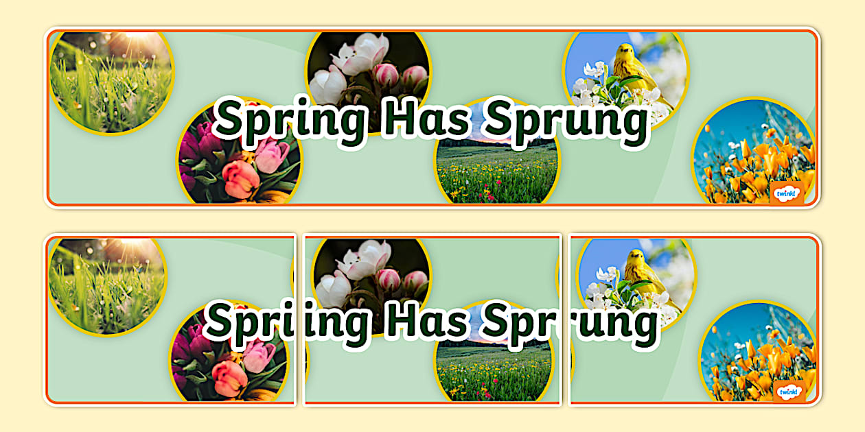 Spring Has Sprung Photo Display Banner (teacher made)