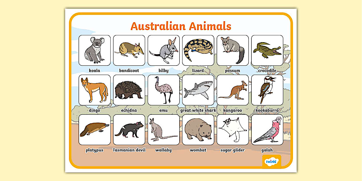 Native Australian Animals With Words Mat (teacher made)