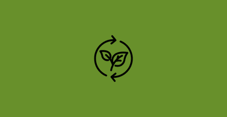 World Environment Day 2026 | Event Information | Twinkl USA