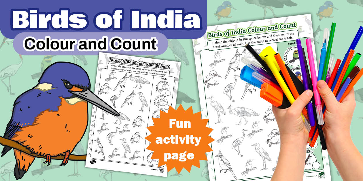 Birds of India Colour and Count Worksheet