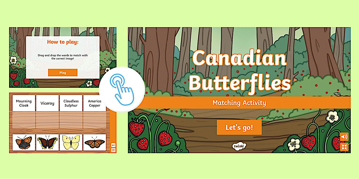 Canadian Butterflies Interactive Matching Game - Twinkl