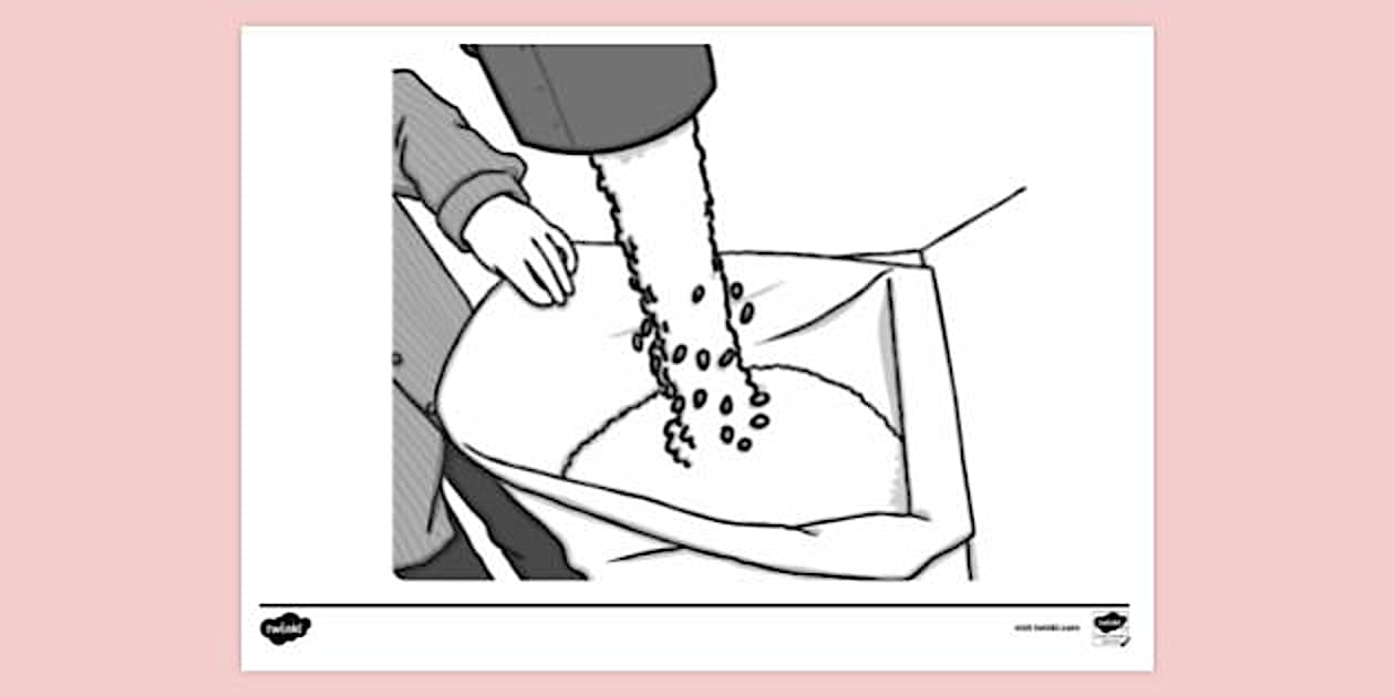 Harvesting Rice Colouring Sheet | Colouring Sheets - Twinkl