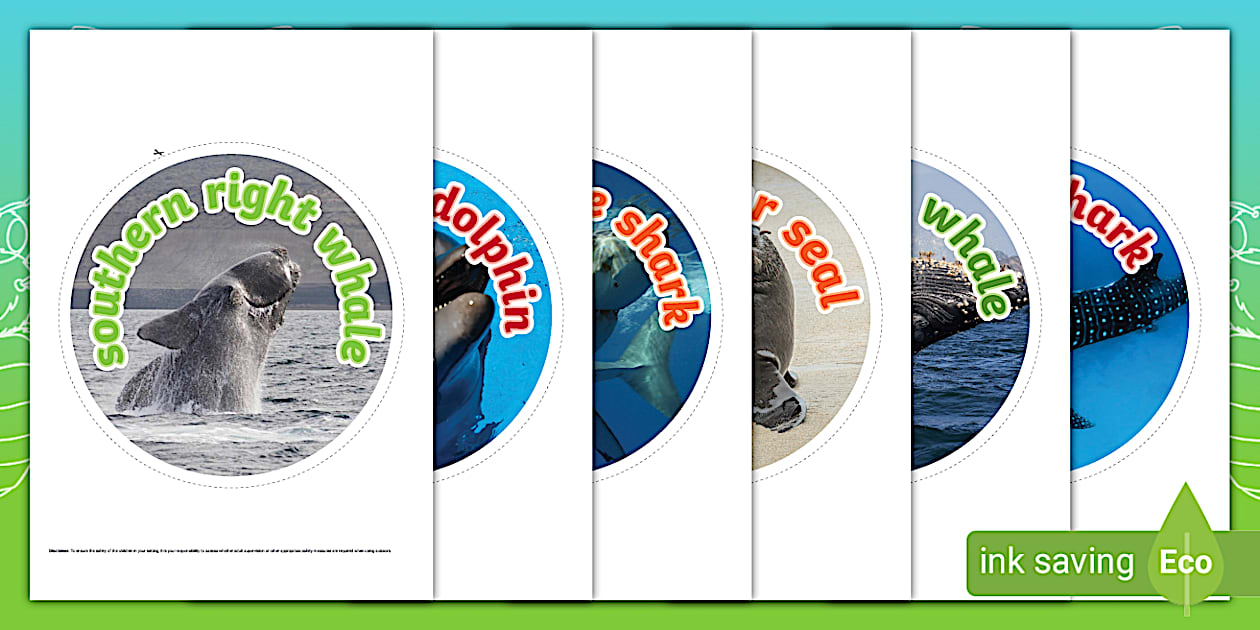 Ocean Animals Circle Display Photo Cut-Outs