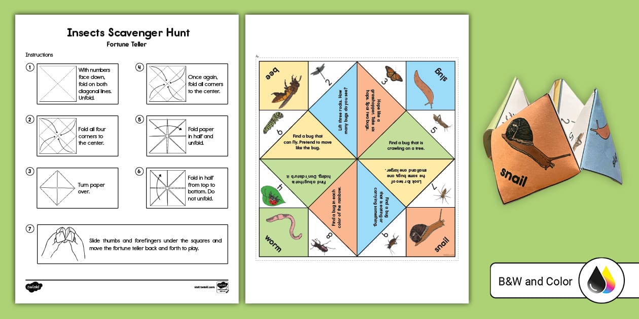 Insects Scavenger Hunt Fortune Teller (teacher made)