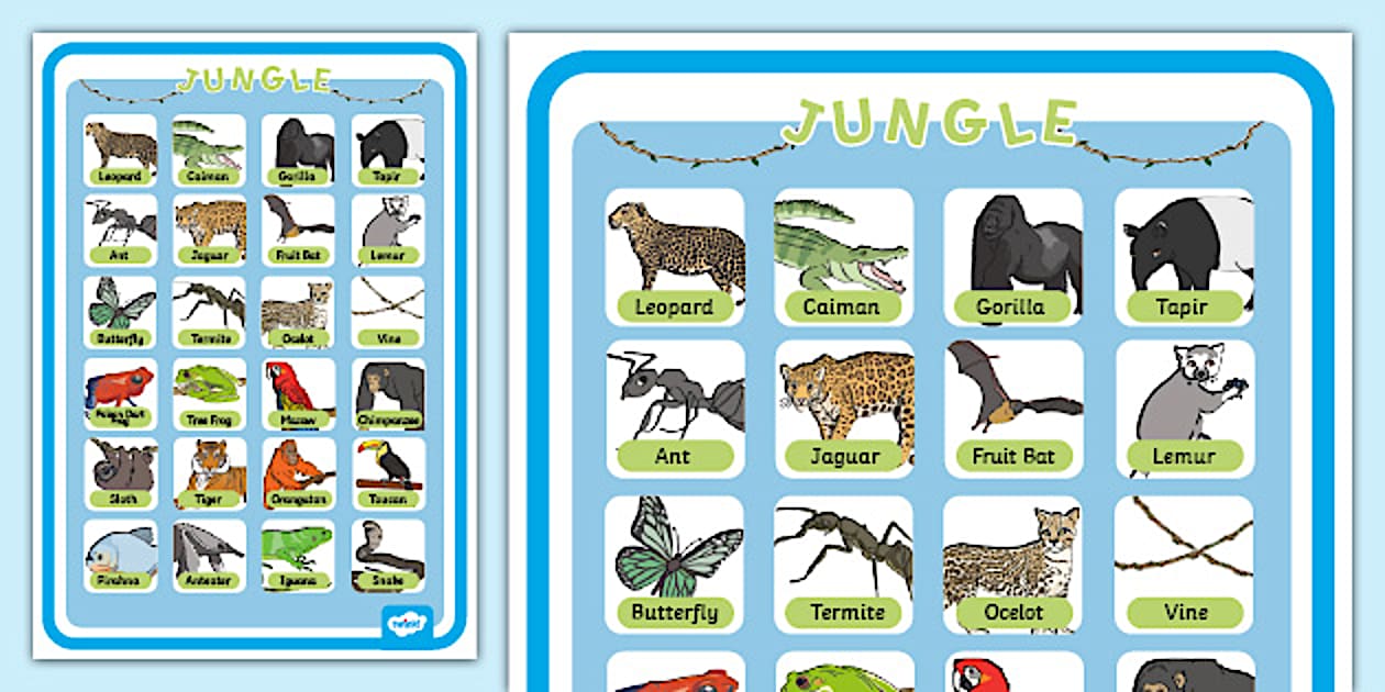 Jungle Vocabulary Poster (teacher made) - Twinkl