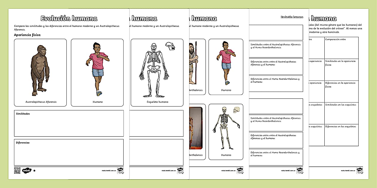 Guía de Trabajo: La Evolución Humana - Twinkl Colombia