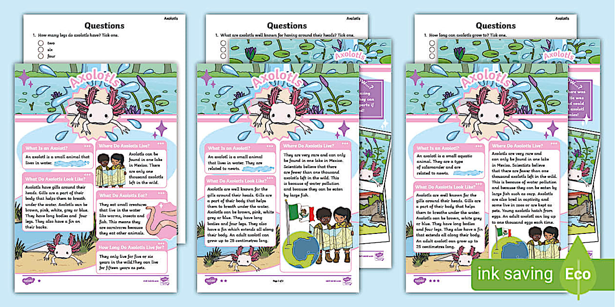 KS1 Axolotls Differentiated Reading Comprehension Activity