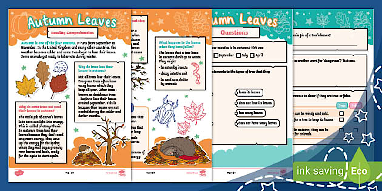 Autumn Leaves Reading Comprehension (Ages 5 - 6) - Twinkl
