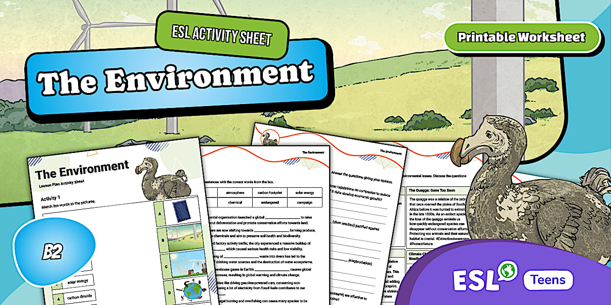ESL The Environment Activity Sheet for Teens