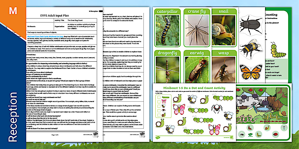 EYFS The Great Bug Count Adult Input Plan and Resource Pack
