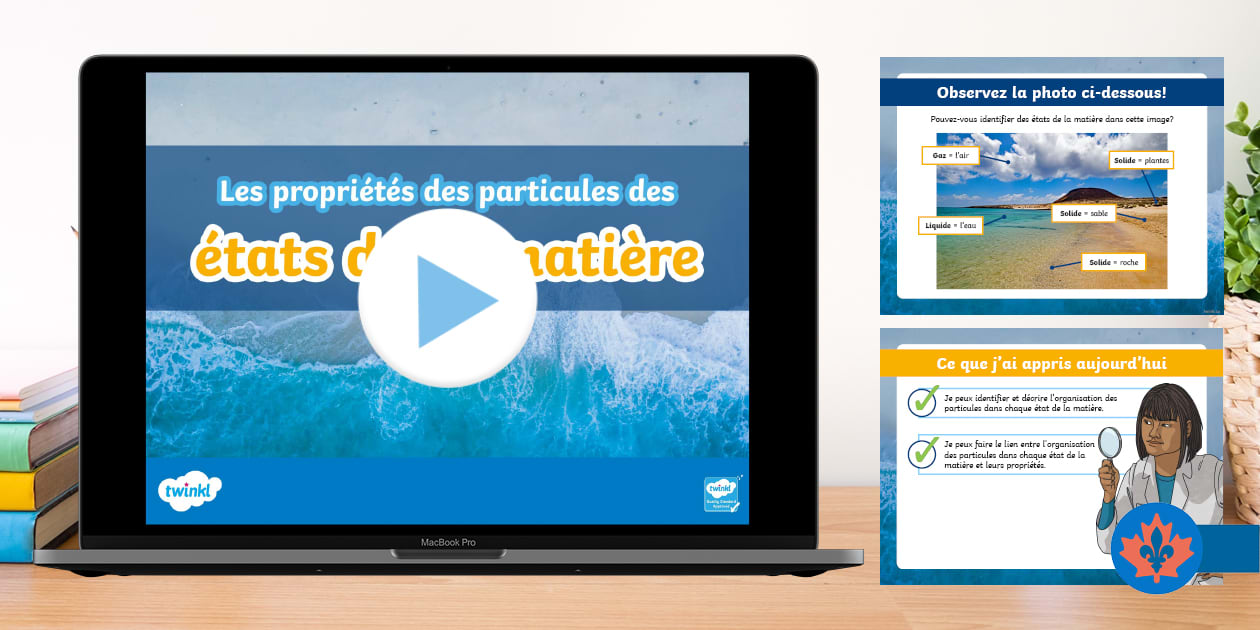 Pure Substances and Mixtures Lesson 4: Particle Properties of the States of