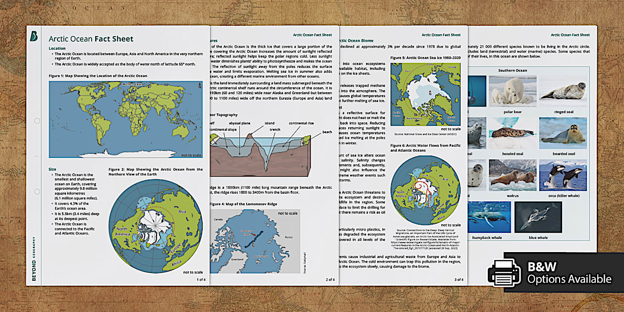 Marine Biomes: Arctic Ocean Fact File | Geography | Beyond