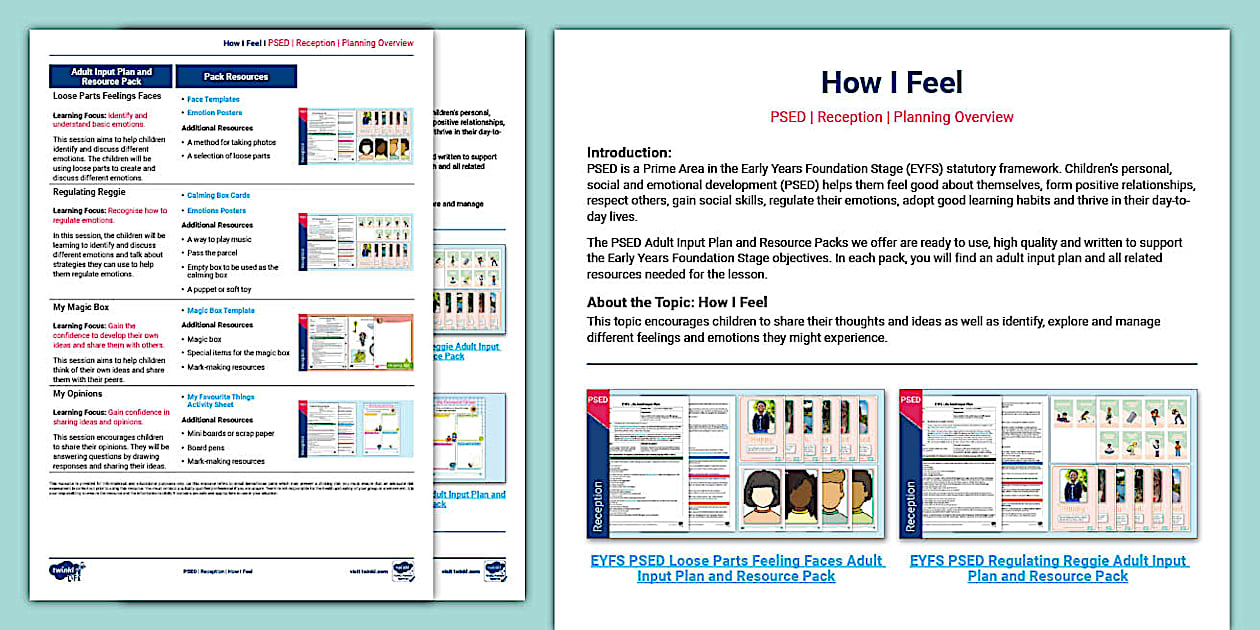 PSED How I Feel Reception Planning Overview - Twinkl