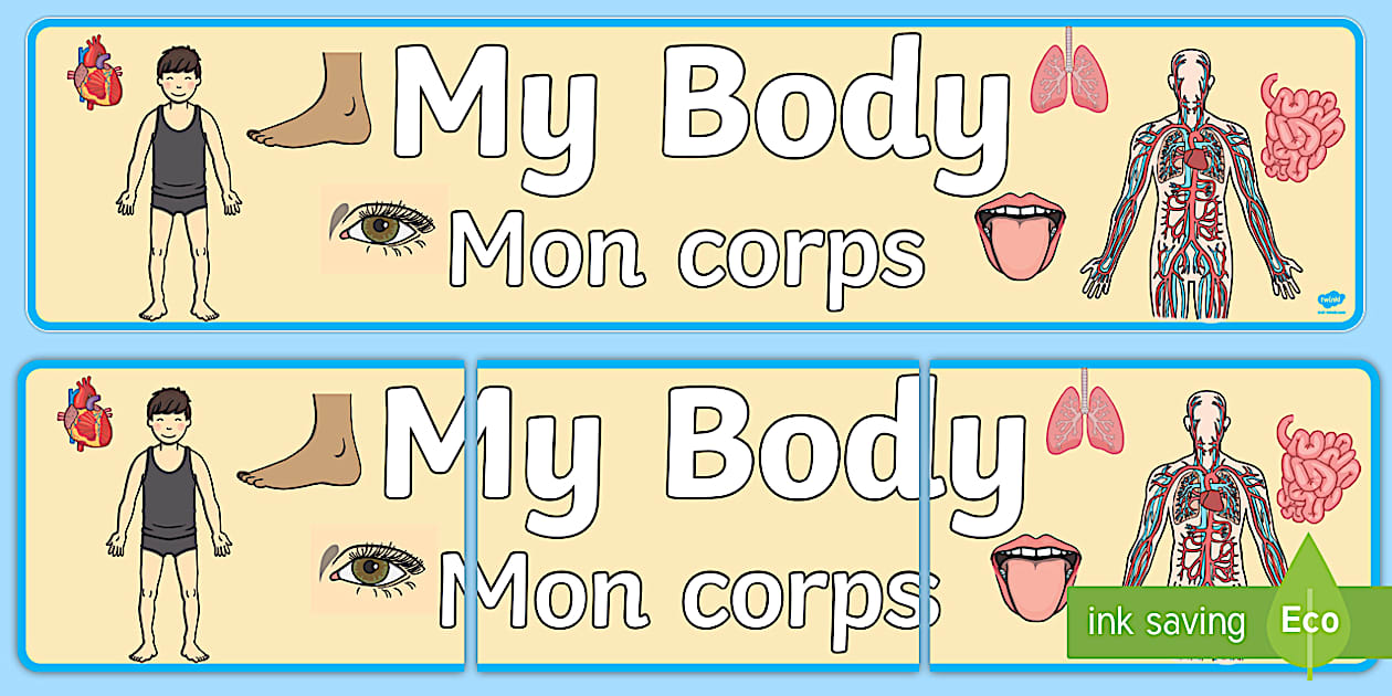 My Body Display Banner - English/French (teacher made)