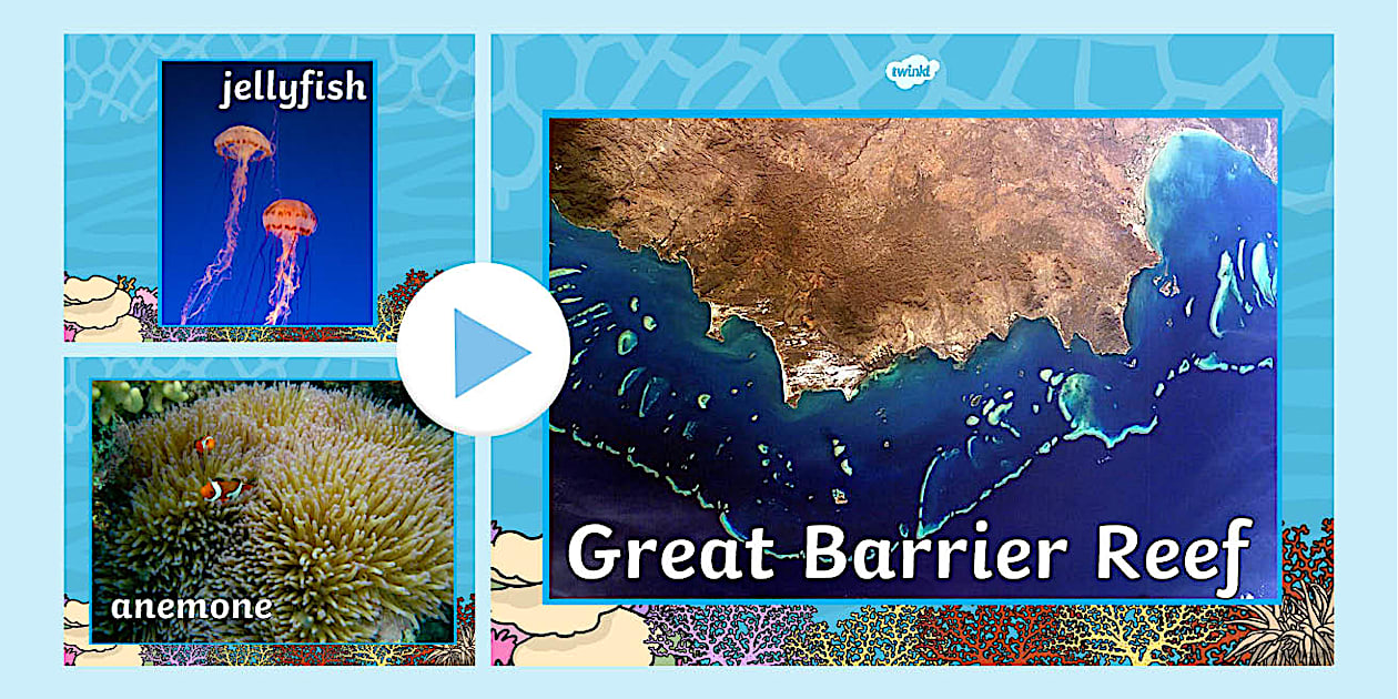 Great Barrier Reef Photos | Photo PowerPoint (teacher made)