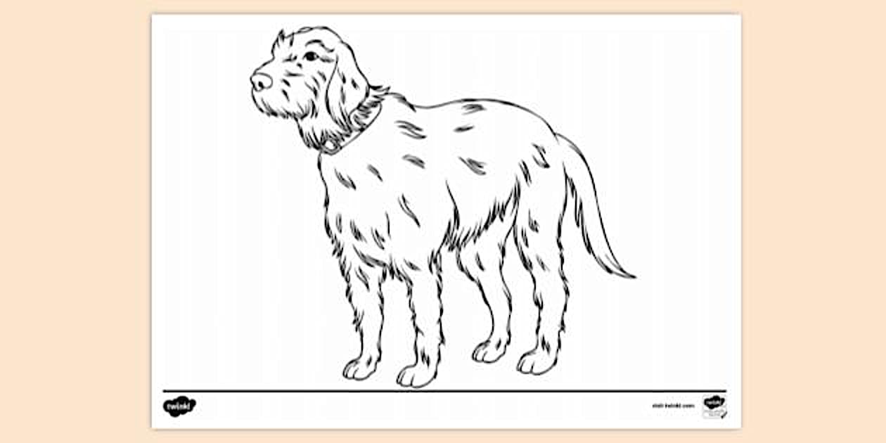 Detailed Dog Colouring Page | Colouring Sheets - Twinkl