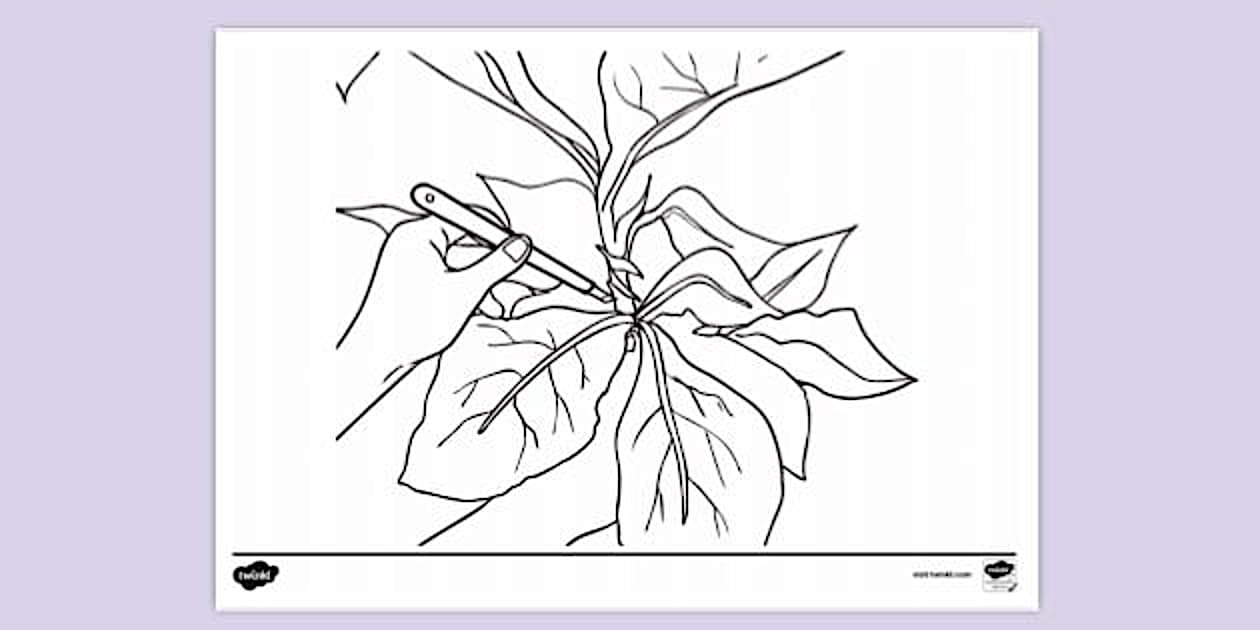 Take a Cutting Step 2 Colouring Sheet | Colouring Sheets