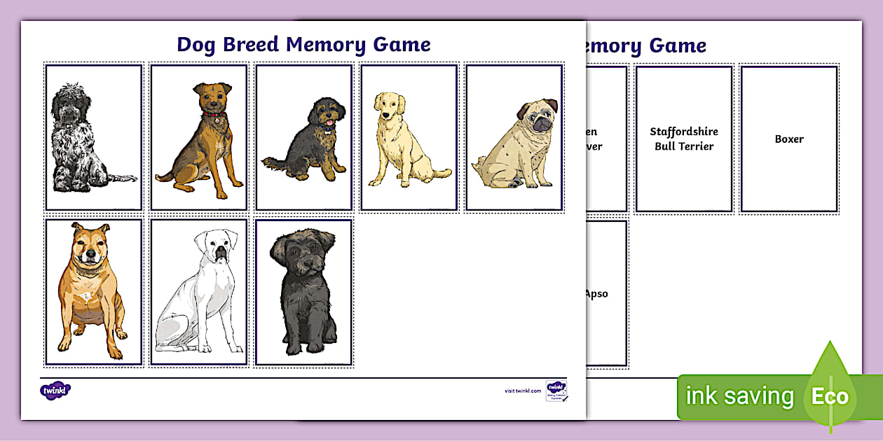 Dog Breed Memory Game (teacher made) - Twinkl