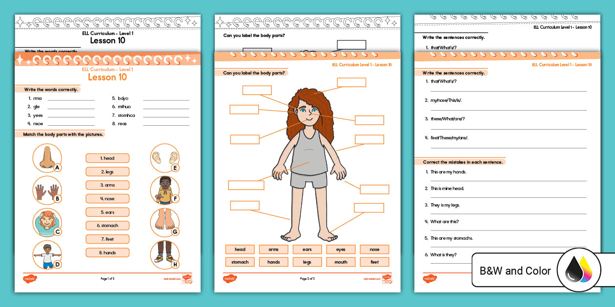 ELL Curriculum: Level 1, Lesson 10 Worksheet (teacher made)