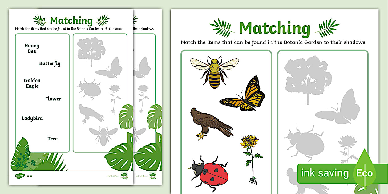 National Botanic Gardens Activity Sheets (teacher made)